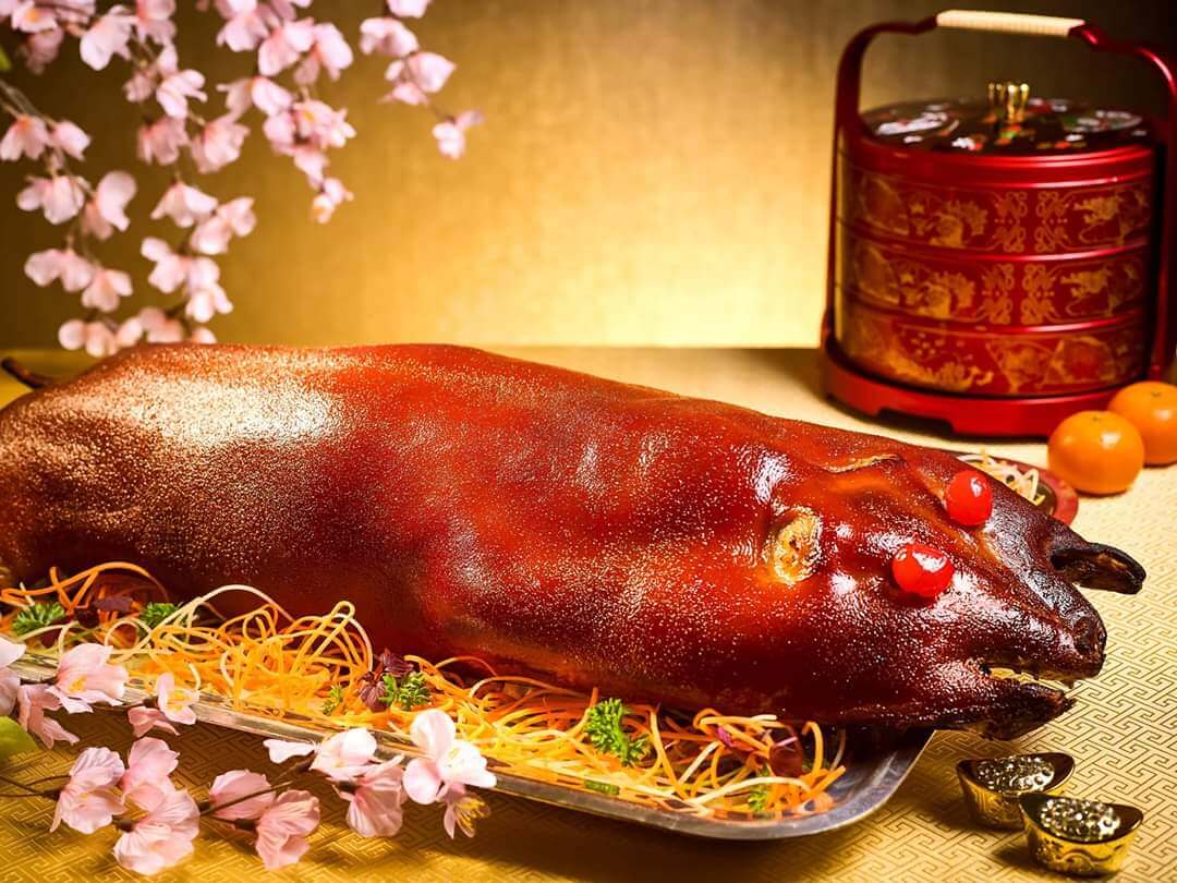 Bảng giá Heo sữa Quay Biên Hòa quý khách hàng có thể tham khảo - Heo ...