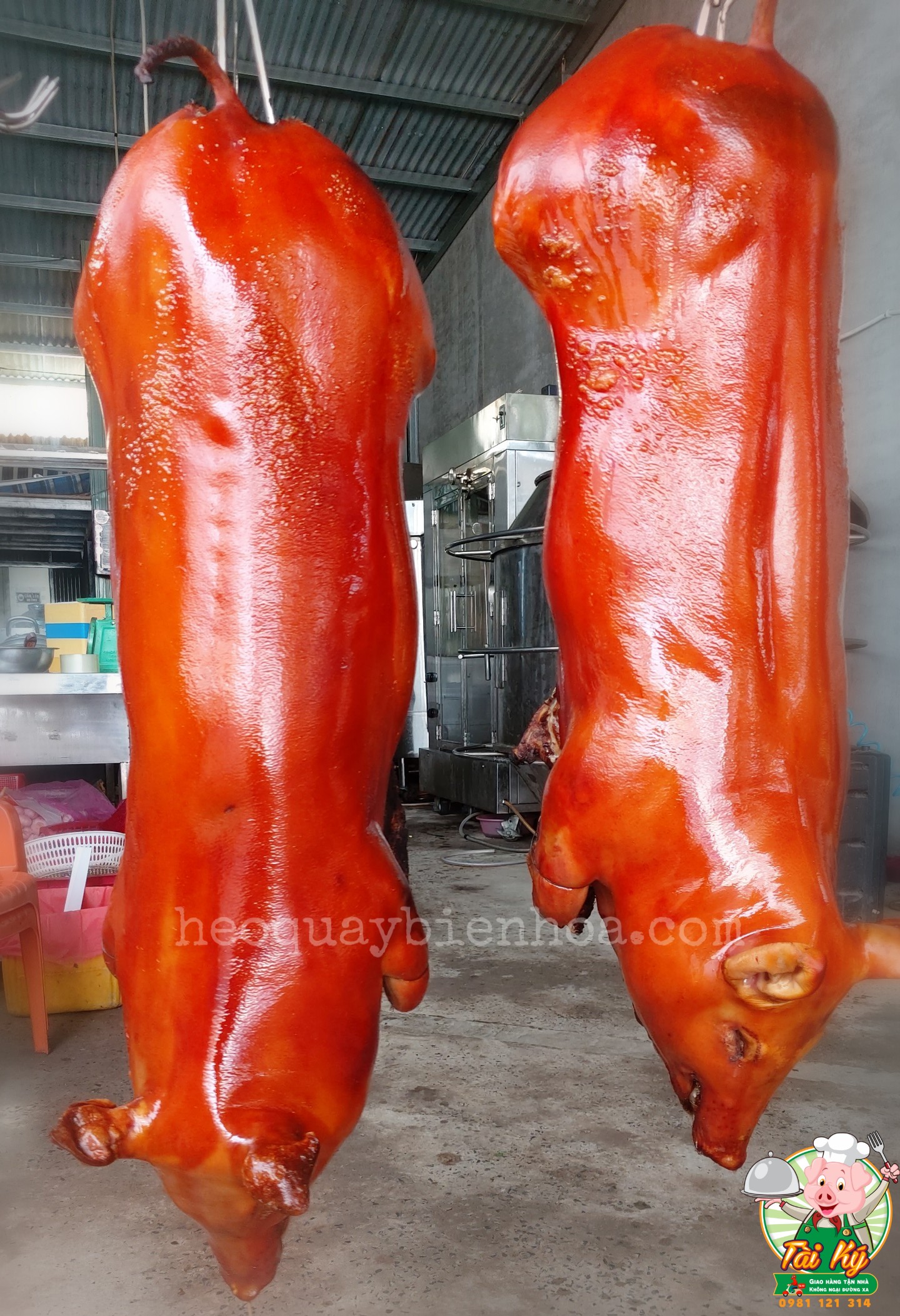 VIDEO HEO QUAY 18 KG THƠM NGON NHÀ TÀI KÝ - Heo Sữa Quay Biên Hoà